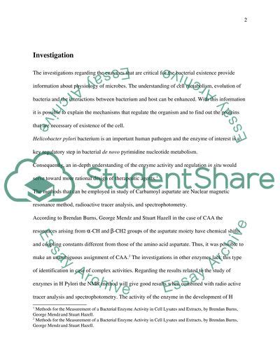 Investigation Of Enzyme Activity Essay Example Topics And Well Written Essays Words