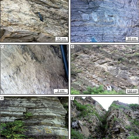 Paragenetic Sequence Of The Oolitic Limestone In The Miaolingian