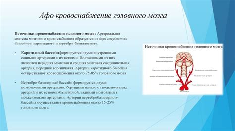 Система организации неврологической помощи. Цереброваскулярные болезни ...