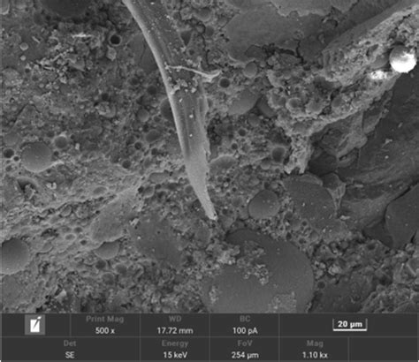 Ecc Microstructure Of Different Fine Aggregates Download Scientific Diagram