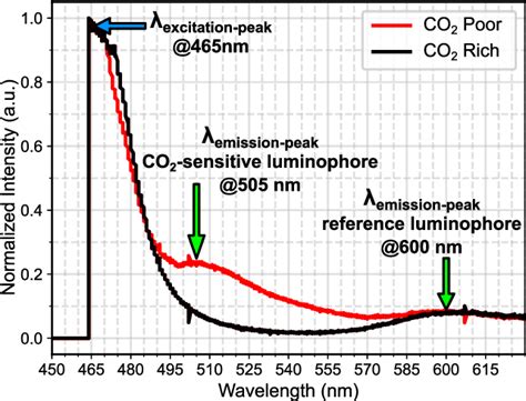 Figure 1 From A Transcutaneous Carbon Dioxide Monitor Based On Time Domain Dual Lifetime