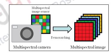 Sensors Remote Sensing GIS Applications In Environmental Science
