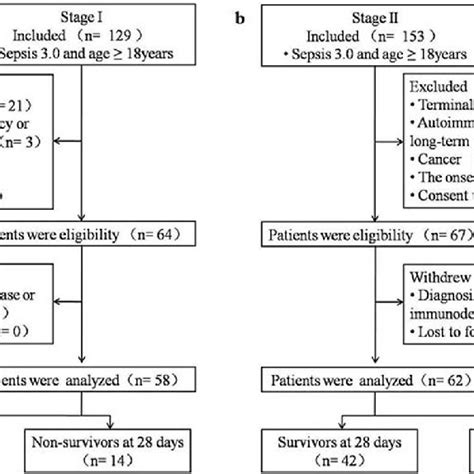 Schematic Of The Workflow Download Scientific Diagram