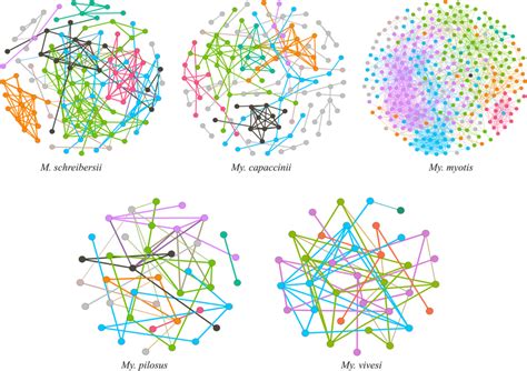 Microbial Co Occurrence Networks Of Different Bat Species The Download Scientific Diagram