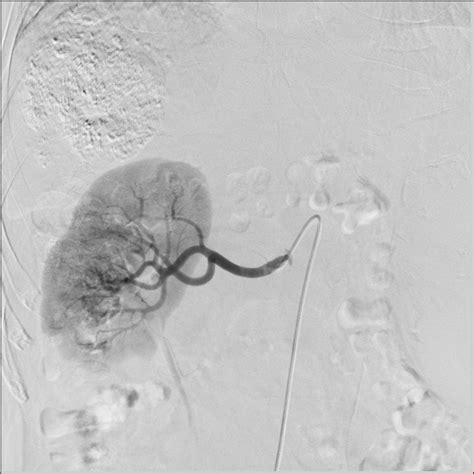 Dsa Test System Suppliers Factory Pricelist WEMED