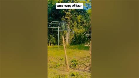 আহ আহ জীবন Subscribe Youtube