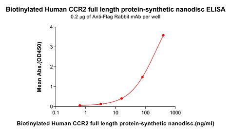 Biotinylated Human Ccr2 Full Length Protein Synthetic Nanodisc Full Length Ccr2 Protein Dima Biotech