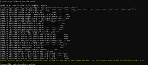 Nete2esdk With Net 70101 Sdk Installed Warning Workload Garbage