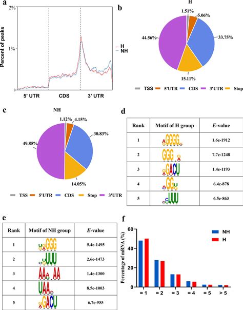 m6a topological patterns in mac t cells a metagene plots showing the