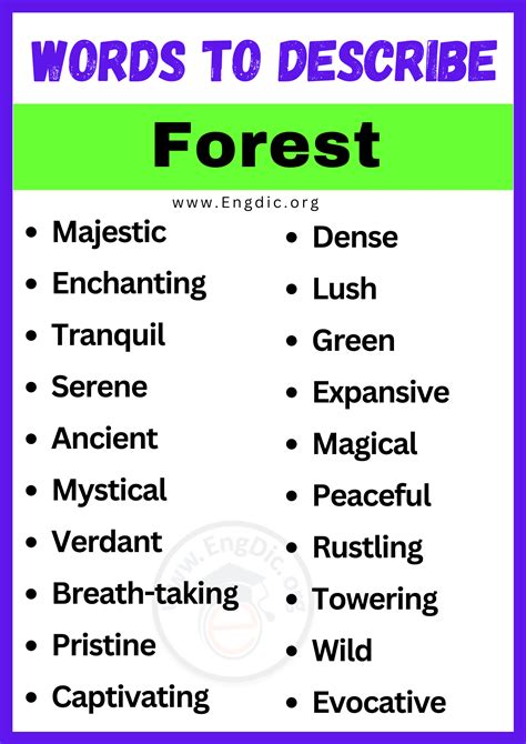 20 Best Words To Describe A Forest Adjectives For Forest Engdic