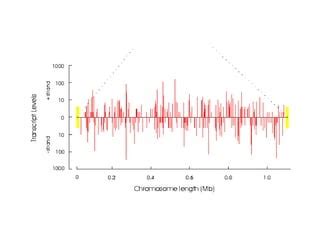 Techniques In Proteomics PPTX