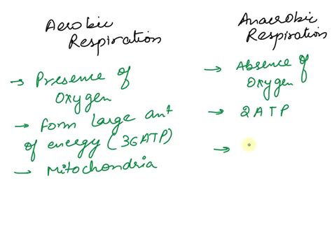 SOLVED What Are The Differences Between Aerobic And Anaerobic Respiration Name Some Organisms