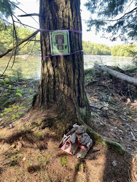 Ask A Fairy Fall Weather Brings Fall Fairies Nature Up North