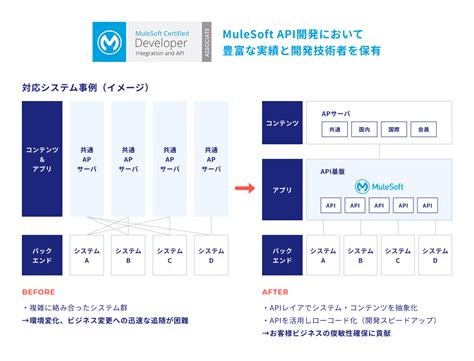 mulesoft apiの開発事例｜中央システム株式会社