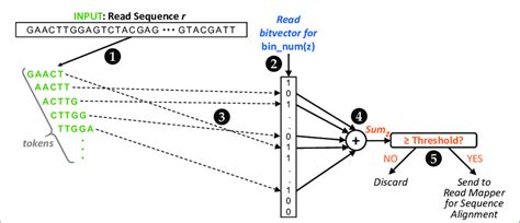 flow diagram for our seed location filtering algorithm grim filter