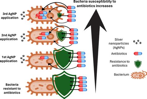 Potential Antibiotic Resurgence Consecutive Silver Nanoparticle