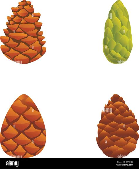 Conifer Cone Icons Set Cartoon Vector Various Coniferous Tree Cone