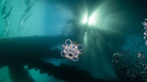 How Micro-AUVs can Change the Conversation Around Rig-to-Reef Programs | Advanced Navigation