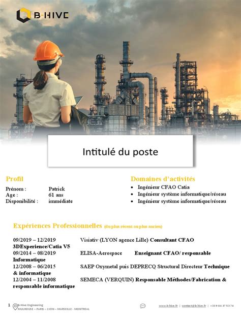 B Hive Engineering Dossier De Compétences Patrick Delplace Pdf