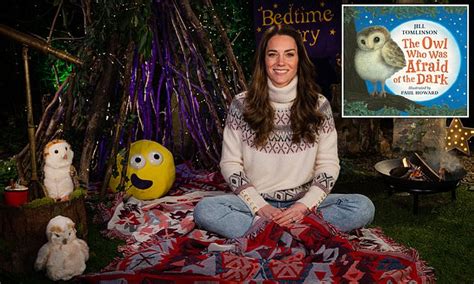 Big Bird Cbeebies Bedtime Story