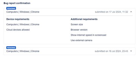 Confirm Bug With An Experienced Tester Docs