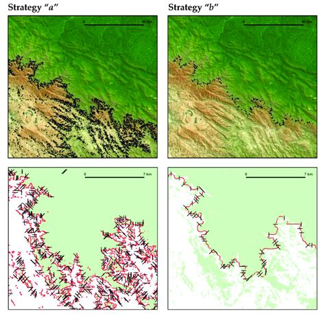 Two Strategies To Investigate The Treeline Position Through Automated Download Scientific