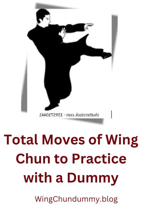 Top 10 Moves Of Wing Chun