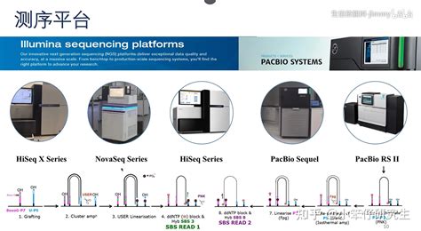 基因组测序and转录组测序 知乎