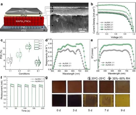 Nano Letters Controlled Colloidal Synthesis Of Perovskite Nanocrystals For Dual Mode