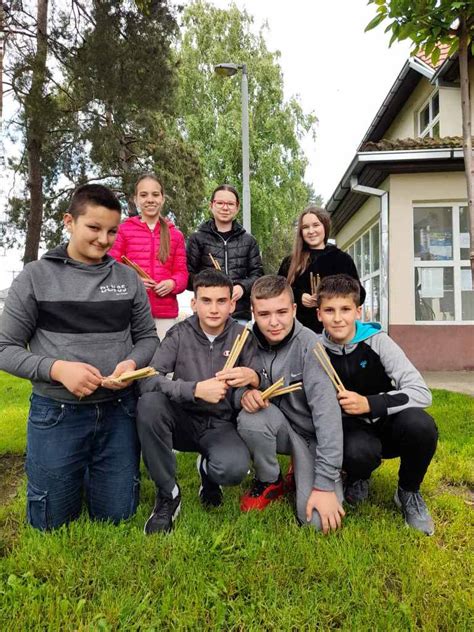 Хотел за инсекте Основна школа Јован Цвијић