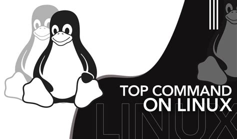 Top Command On Linux LinuxWays