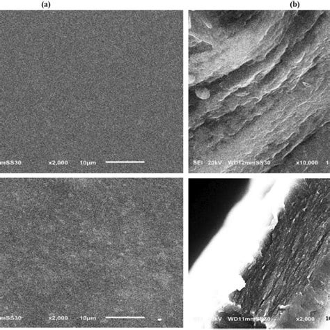 Surface Morphology A And Cross Sections B Of Sem Micrographs Of Pc