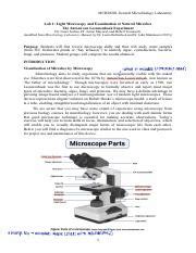 Exploring Microbes Through Microscopy In General Microbiology Lab Course Hero