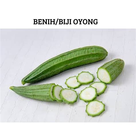 Jual Benih Biji Oyong Shopee Indonesia