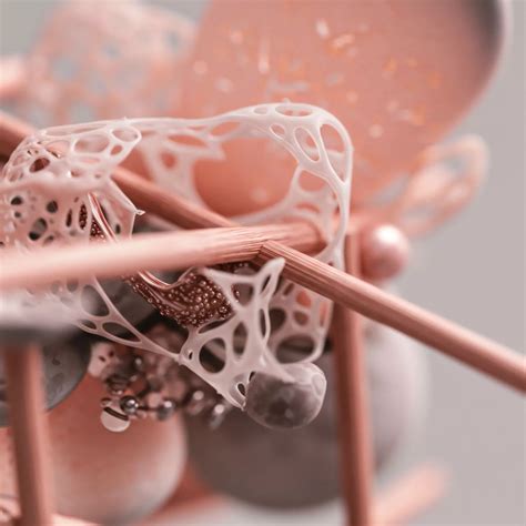 Human Infrastructure → Term