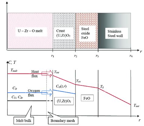 Schematic Representation Of The Temperature And Concentration