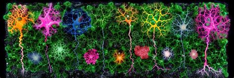Abstract Image Depicting Vibrant Synapses Firing In A Neural Network