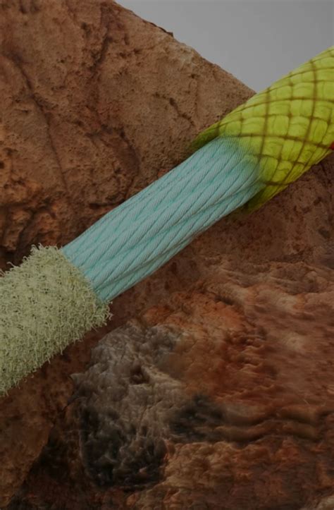 95 Alpine Core Protect Dry Rope Mammut