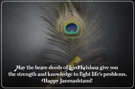 happy krishna janmashtami images wishes messages quotes cards hot sex picture