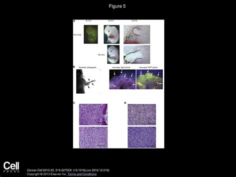 Volume 23 Issue 2 Pages February 2013 Ppt Download