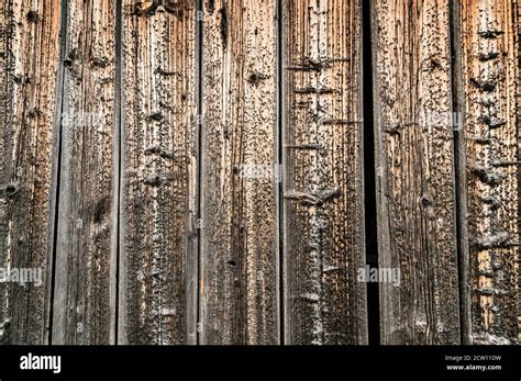 Aged Spruce Pine Wood Plank Wall Detail With Rough Surface Cracks And