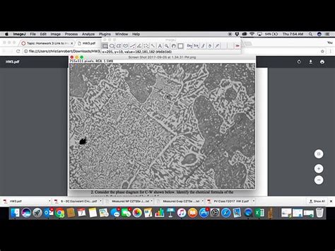 Imagej Measuring Area Measurements And Regions Of Interest · Analyzing