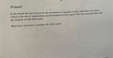 Solved Female In The Female The Duct System For The Chegg Com