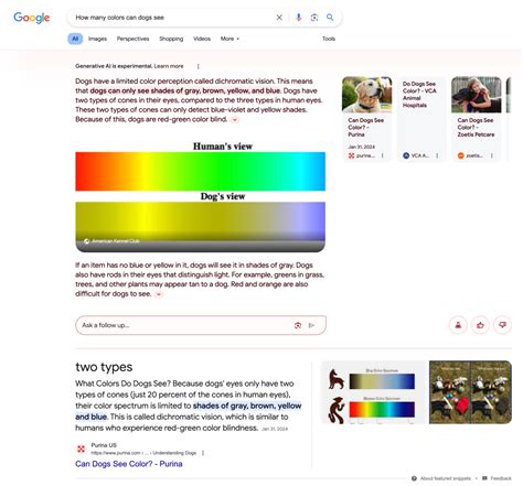 Search Generative Experience How To Get Ready For The Future Of Search