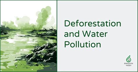 How Does Deforestation Cause Water Pollution