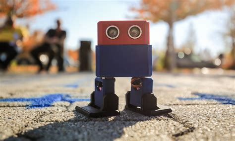 bee bot and blue bot robotika