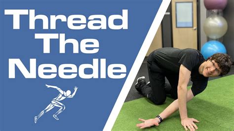 Elite Performance Institute Chiropractor Naperville Il Warrenville Il