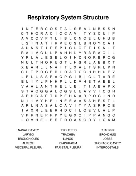 Respiratory System Structure Word Search