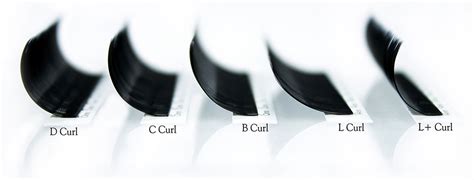 Difference Between C Curl And D Curl Curly Hair Infoupdate Org