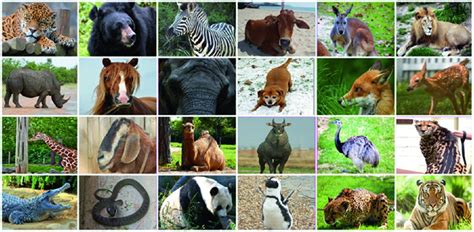 bhupendra kumar on linkedin ai machinelearning deeplearning ml artificialintelligence…